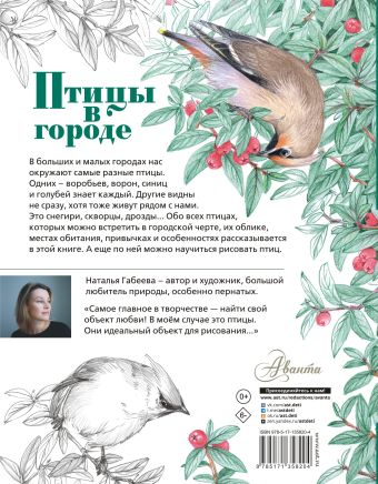 «Птицы в городе» Габеева Наталья Михайловна - описание книги | Оглянись ...